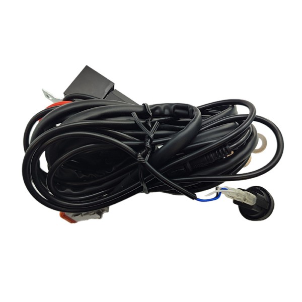 Quality Male Female Automotive Wiring Harness Cat's Eye Switch Customized Shielded for sale