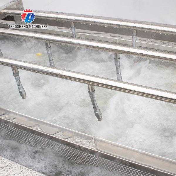Quality Brush bubble cleaning, drying, selection and cutting production line Revolutioni for sale