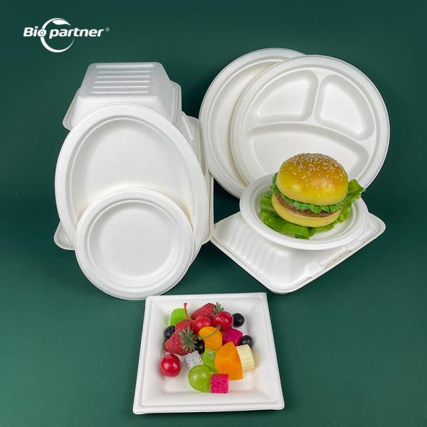 Quality Biodegradable Burger Lunch Box 3 Compartment Takeaway Bagasse Pulp Food for sale