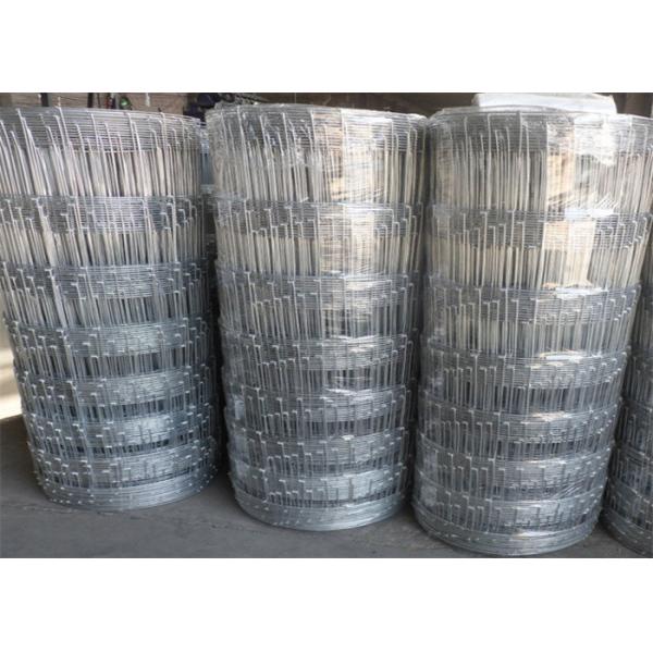 Quality Galvanized Iron Wire Farm Mesh Fence Silver Color With Hot Dipped Zinc Coating for sale