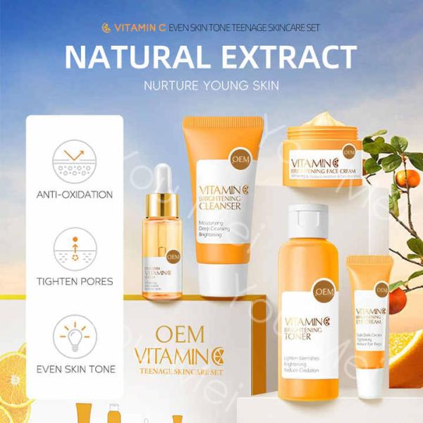 Quality Natural Hydrating Vitamin C Skincare Products For Aging Brightening 100ML for sale
