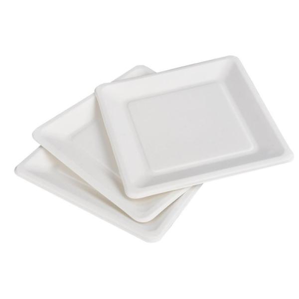 Quality 9in 10in Eco Friendly Compostable Sugarcane Paper Plates Dessert Square Cake for sale