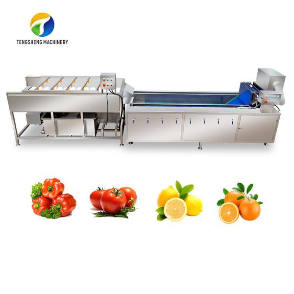 Quality SS 380V Industrial Vegetable And Fruit Washing Machine for sale