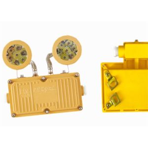 Quality Rechargeable Explosion Proof Emergency Light Fitting For One Hour Twin Spot for sale