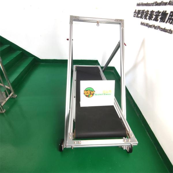 Quality Customized Big Dog Treadmill for Pit Bulls Durable and Sustainable Training for sale