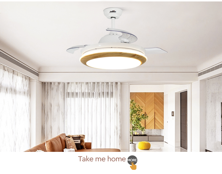 ceiling fan