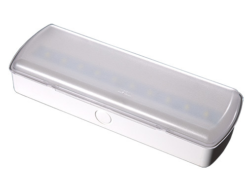 Quality 220V IP20 Battery Operated LED Emergency Light Teaching Buildings EF108AM for sale