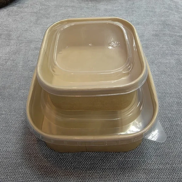 Quality Eco Friendly Eco Friendly To Go Container / Biodegradable Takeaway Box with Custom Logo for sale
