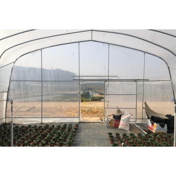 Quality Commercial Poly Tunnel Greenhouses Prefabrecated Steel Structure Greenhouse for Fruit Farming for sale