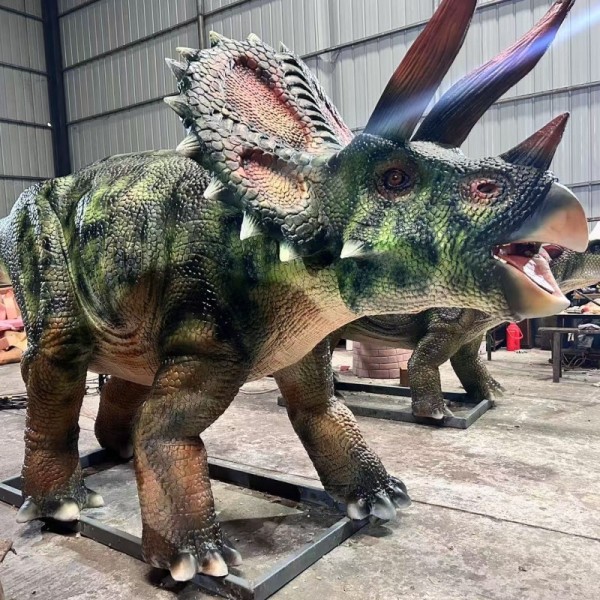 Quality Real High-quality Professional Animatronic Dinosaur Triceratops 6m Model for sale