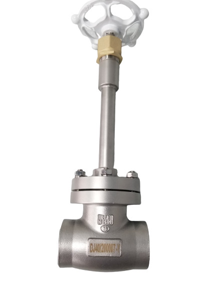 Quality SS304 CF8 DN50 Low Temperature Socket Weld Globe Valve for sale