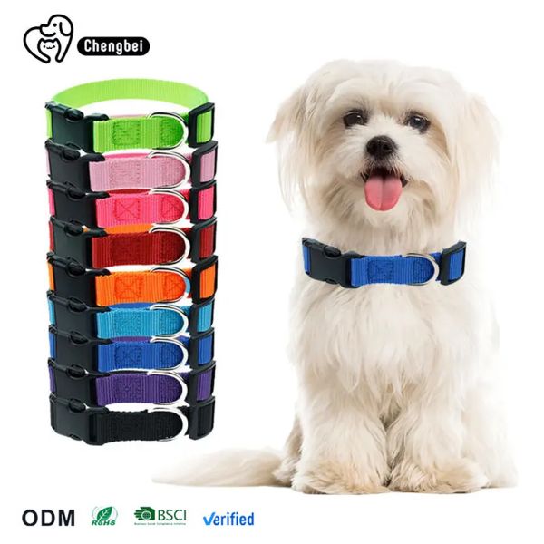 Quality Pet Blank Plain Personalized Nylon Dog Collar Sustainable Dog Leash And Collar for sale