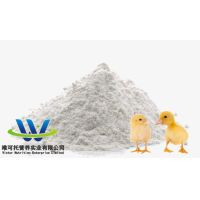Quality 98.5% L-Lysine Feed Additives Customized Request Accepted with CCC Certification for sale