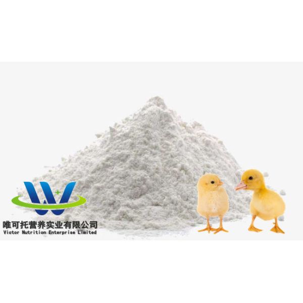 Quality 98.5% L-Lysine Feed Additives Customized Request Accepted with CCC Certification for sale