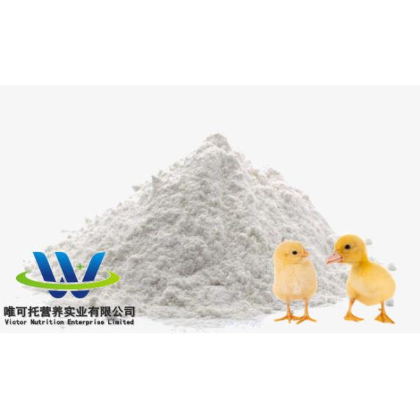 Quality Feed Grade Customized Request Feed Supplement 98.5% L-Lysine HCl for Animals for sale