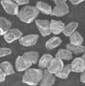 Quality OEM Black BDD Boron Doped Diamond Electrodes Pure Polycrystalline CVD Diamond for sale