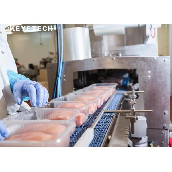 Quality Packaging Inspection Equipment For PP Plastic Disposable Food Containers for sale