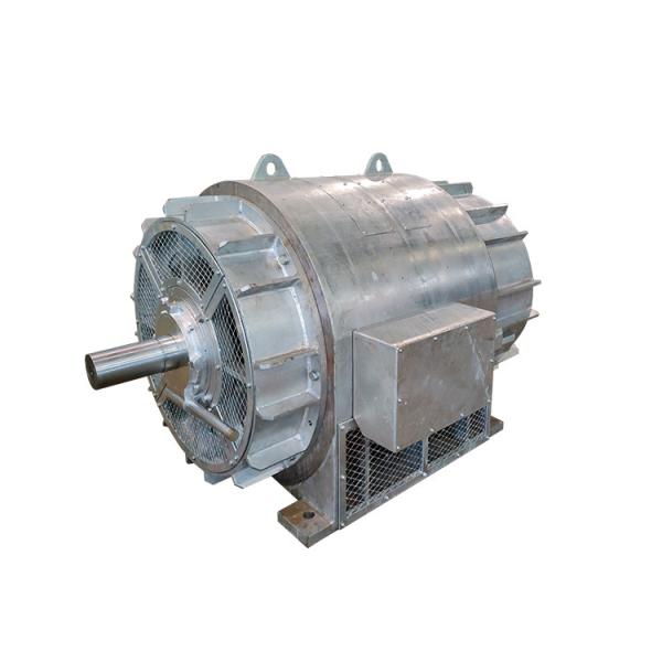 Quality Horizontal 2000kw Hydro Power Generator Water Turbine 6300v for sale