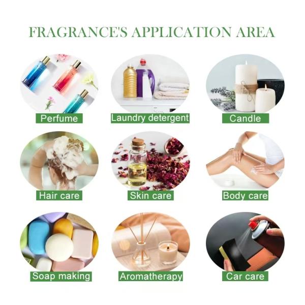 Quality High Concentration Perfume Fragrances Daily Flavor Essential Oil Perfume for sale
