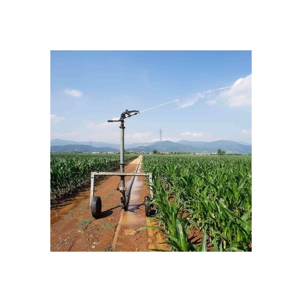 Quality Metal Hose Reel Irrigation System Versatile Truss And Adjustable Spray for sale