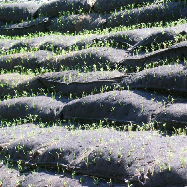 Quality Environmental Projects Nonwoven Geotextile Geobag With Seeds for sale