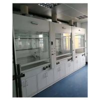 Quality Laboratory Furniture Modern Chemistry Laboratory Fume Extraction Hood for sale