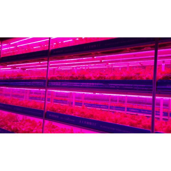 Quality Greenhouse Agriculture Iot Vertical Factory For Modern Agriculture for sale