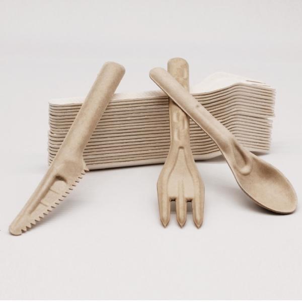 Quality Biodegradable Bagasse Eco Friendly Disposable Cutlery 141.7mm Compostable Forks for sale