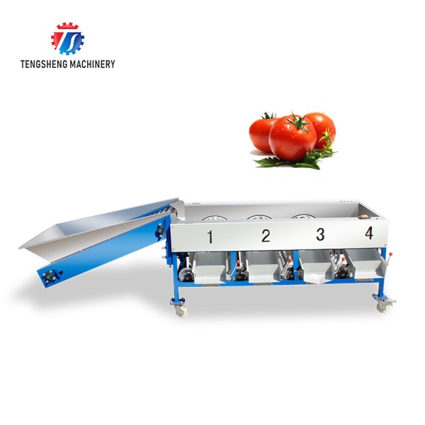 Quality Automatic Cherry Tomato Fruit Sorter Machine Potato Sorting Grading Machine for sale