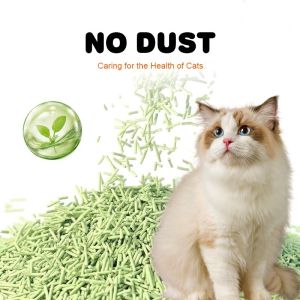 Quality Non Toxic Eco Friendly Tofu Cat Litter Dust Free for sale