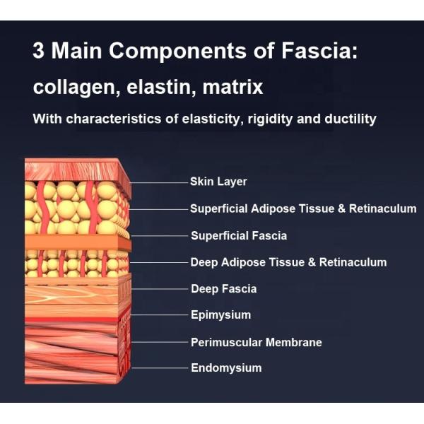 Quality Chargeable IASTM Body Pain Relief Scraping Tool with Heated Fascia Knife 335g for sale