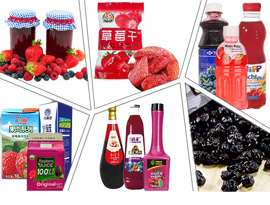 Quality Stainless Steel 304 440V 25T/H Berry Processing Equipment for sale