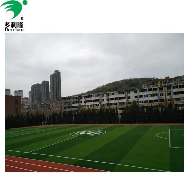 Quality CERTIFICATION ISO14001 40mm/50mm/60mm Artificial Grass for Football Field Best for sale