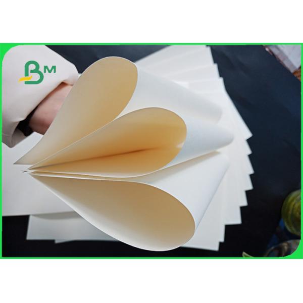 Quality Tear Proof Polyethylene Coated Paper Biodegradable 160gsm With 10 PE Film for sale