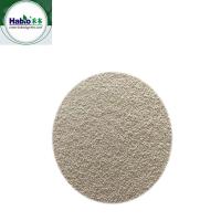Quality Animal Nutrition Feed Additive Xylanase Granule 10,000U for sale
