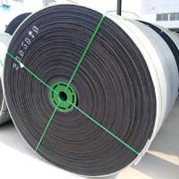 Quality EP100 EP200 Special Conveyor Belts Chemical Resistant W700mm for sale