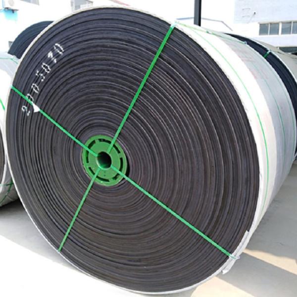 Quality EP100 EP200 Special Conveyor Belts Chemical Resistant W700mm for sale
