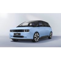 Quality 3.8m mini electric car for sale