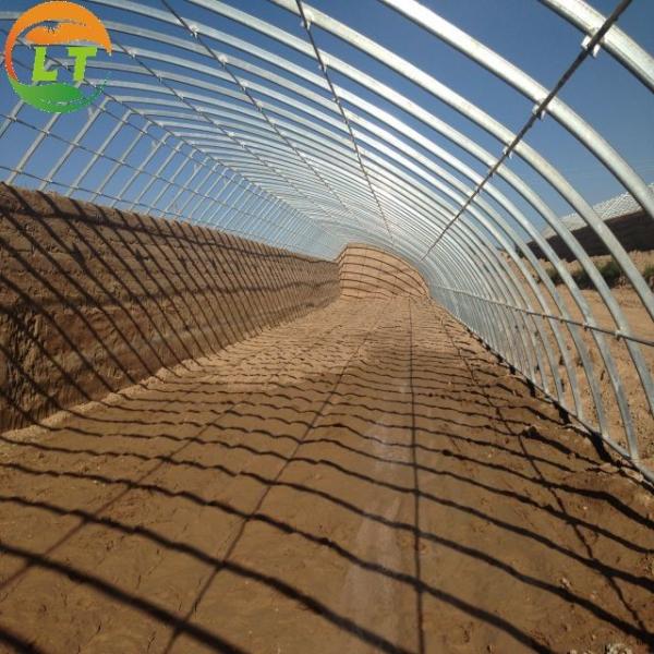 Quality Film Agricultural Solar Greenhouses Maximize Your Vegetable Fruits and Flowers for sale
