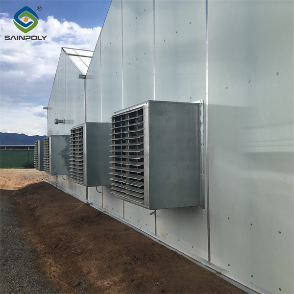 Quality Multi Span Auto Blackout Greenhouse 3 Layers With Steel Structure for sale