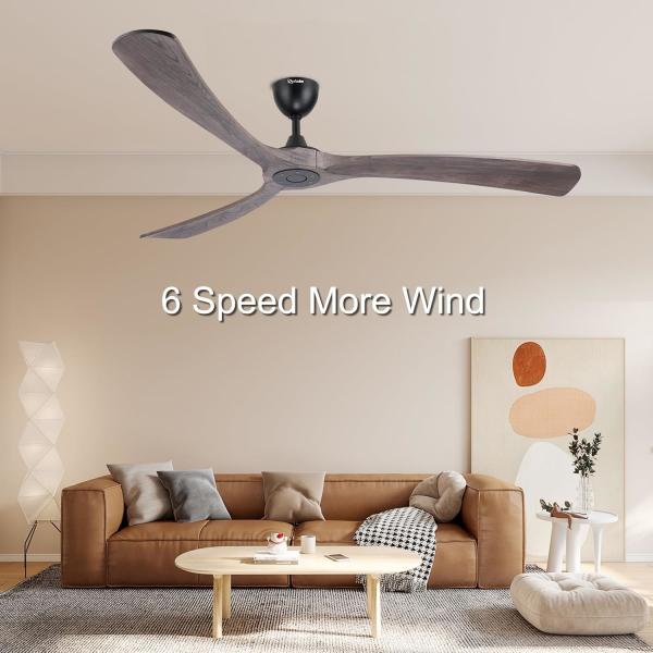 Quality Quiet Energy Saving 6 Speed Smart Ceiling Fan with Light Controlled by Alexa for sale
