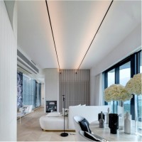 Quality Skyline Linear Light for sale