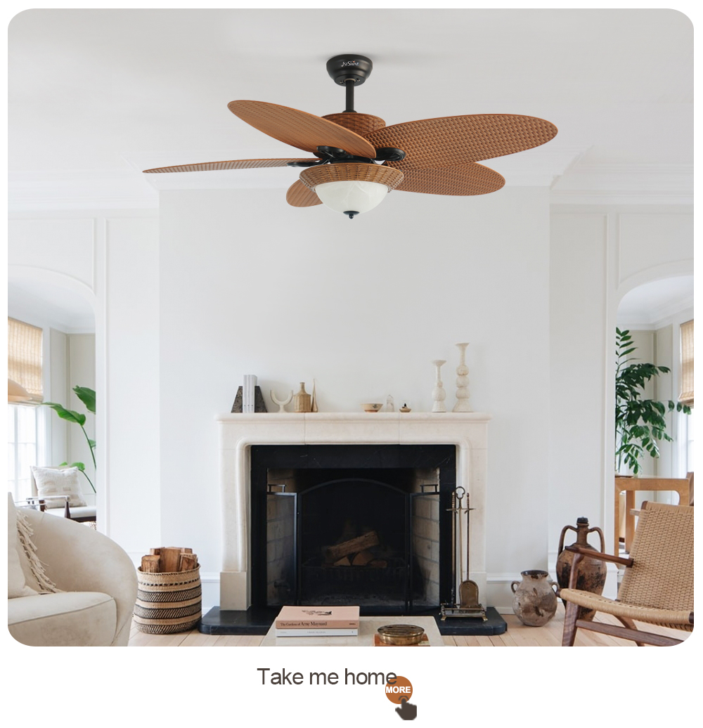 ceiling fan