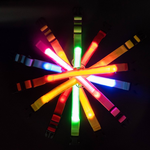 Quality LED Dog Collar Waterproof Adjustable USB Type-C Recharge Solid Pattern Flashing for sale