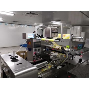 Quality High Speed TTO Coder RS232 Interface 300 DPI Batch Number Coding Machine for sale