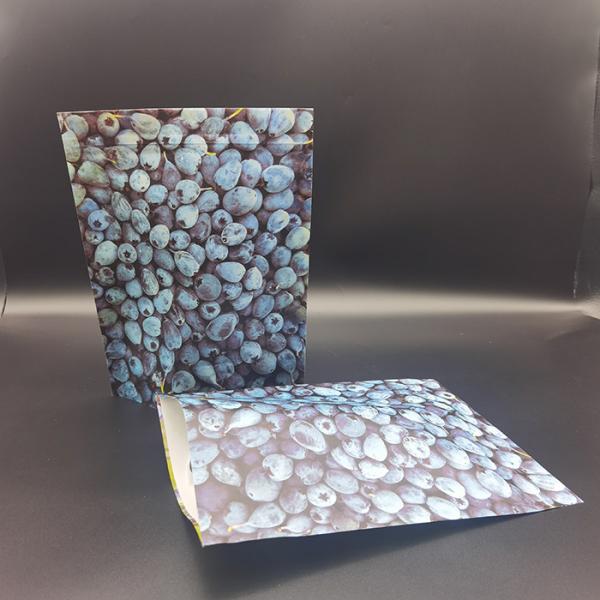 Quality Custom Printed Compostable Stand Up Pouches CTP Printing Kraft Paper Pouches for sale