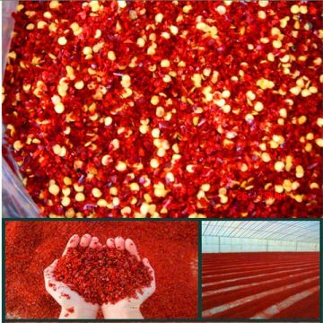 Quality Dehydrated Crushed Chilli Peppers 5mm Red Chili Flakes 8 Mesh for sale
