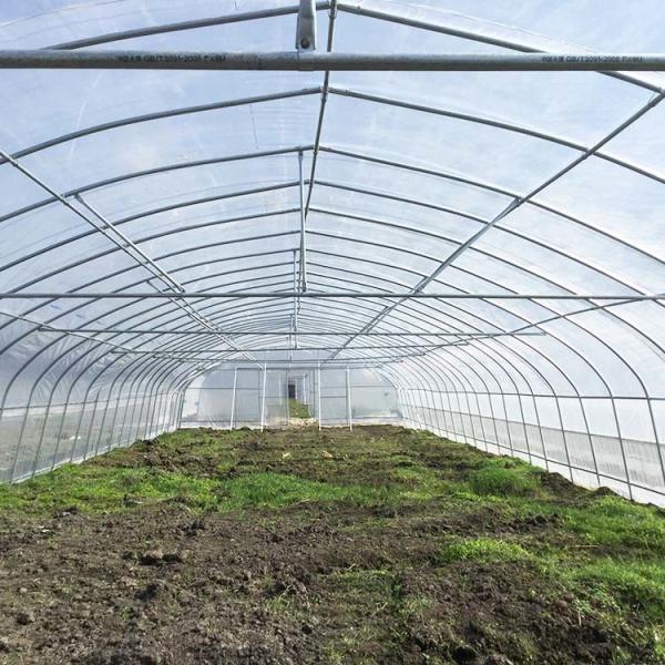 Quality Agricultural Singlespan Tunnel Plastic Film Tropical Greenhouse for sale