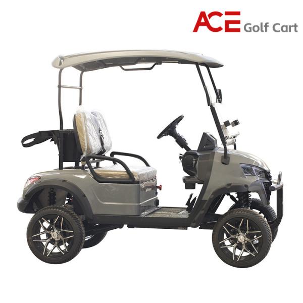 Quality Steel 2 Seater Golf Cart 48V 2 Passenger Sightseeing Electrical Golf Car for sale