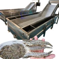 Quality Industrial Potato Carrot Vegetable Wash Line Dates Pineapple Fruit Washer Bubble Washing Machine for sale